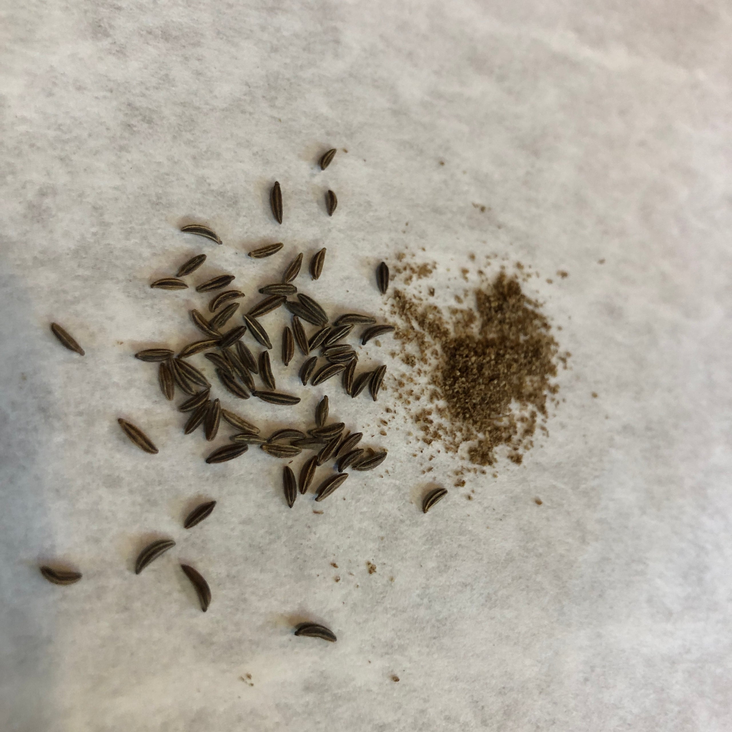 Caraway | ED HYDER'S MEDITERRANEAN MARKETPLACE